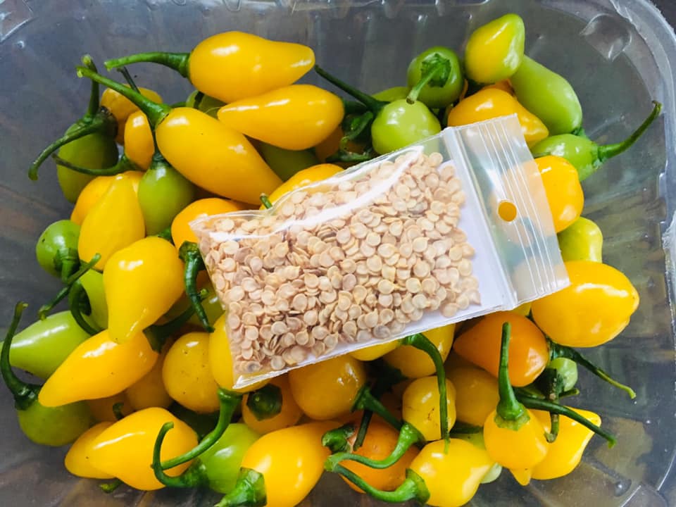 Toeren met ons busje – Ingrid Vertessen – Solo reizen met een buscamper