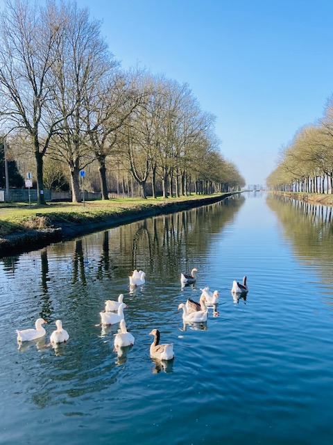 De scheepslift van Strépy-Thieu – Toeren met ons busje – Ingrid Vertessen